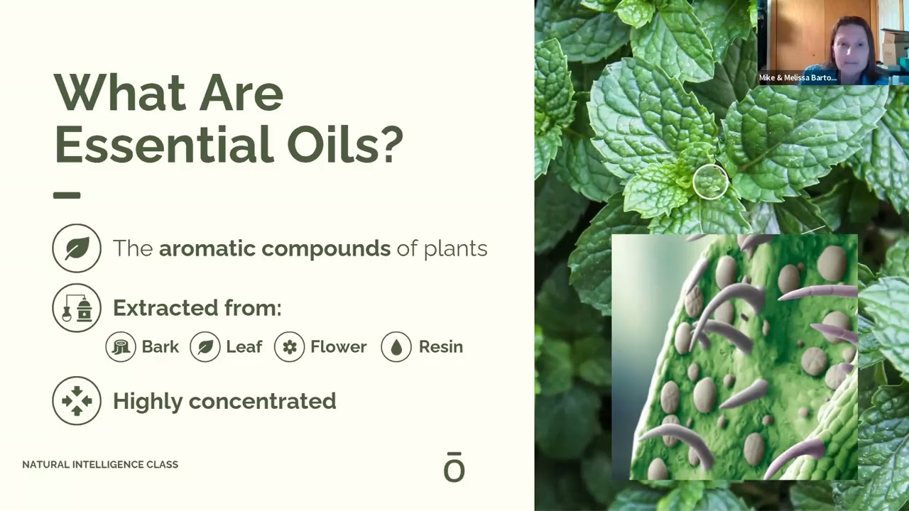 What Essential Oils Really Do (And Why Your Body Loves Them)