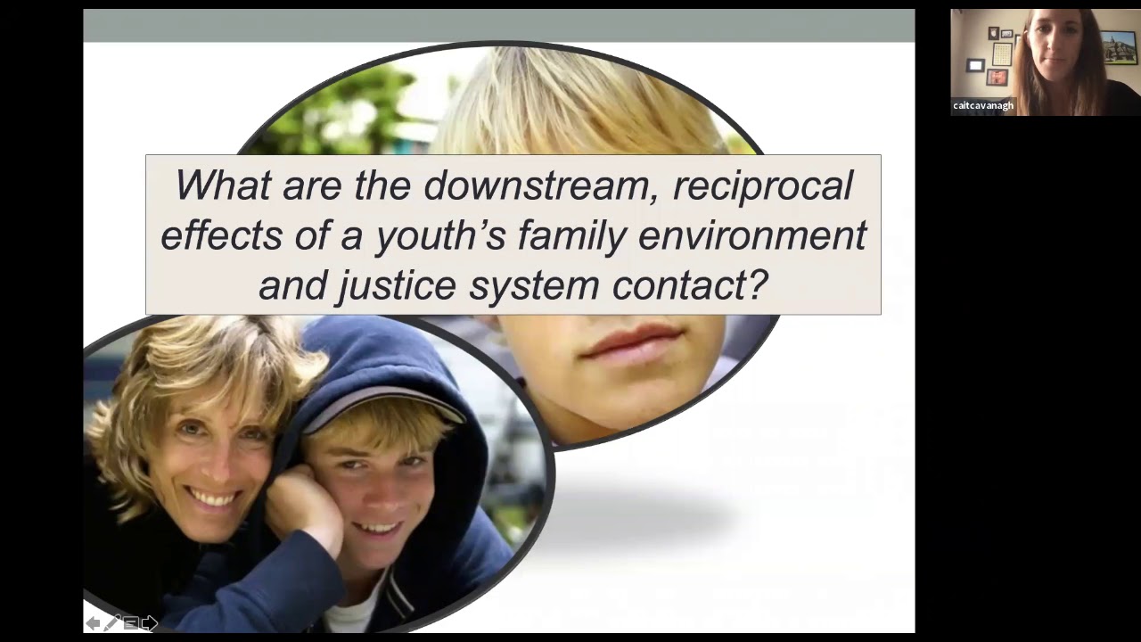 The Parenting Context and Juvenile Offending