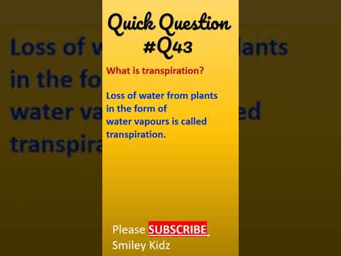 What is Transpiration? #shorts #ytshorts
