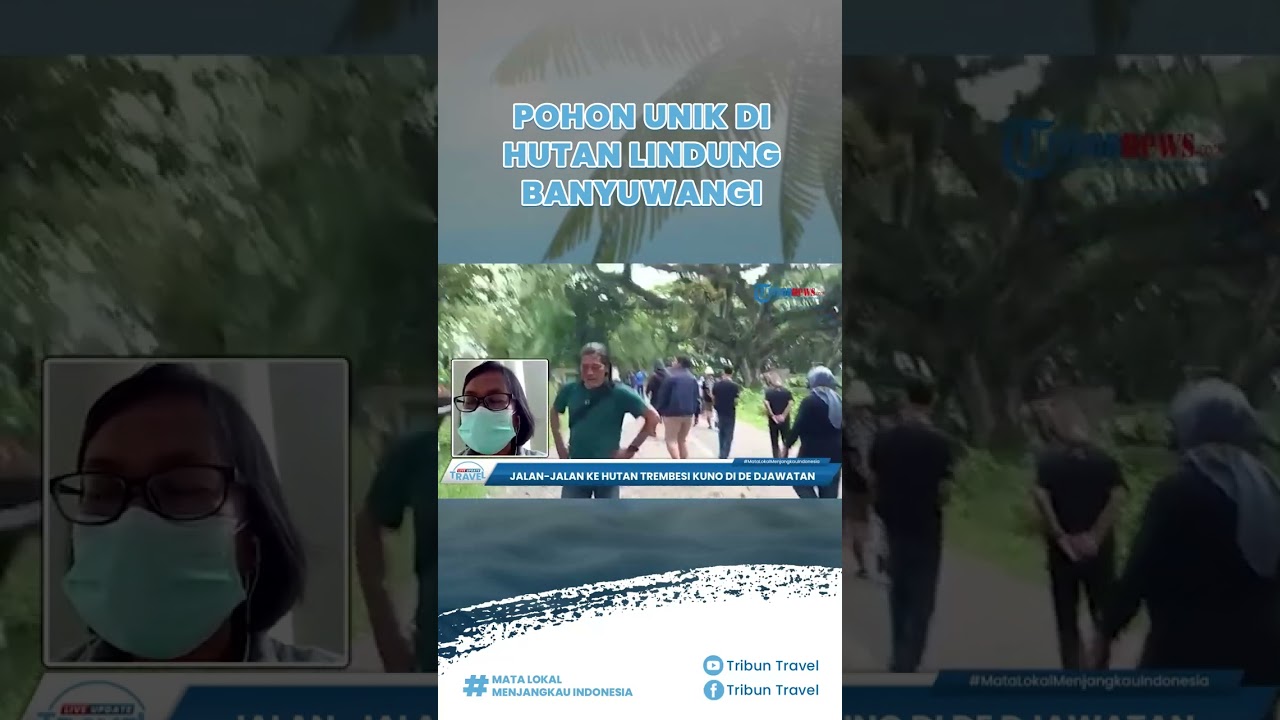 Tempat Wisata Hutan Lindung di Banyuwangi Selatan, Punya Ratusan Pohon ...