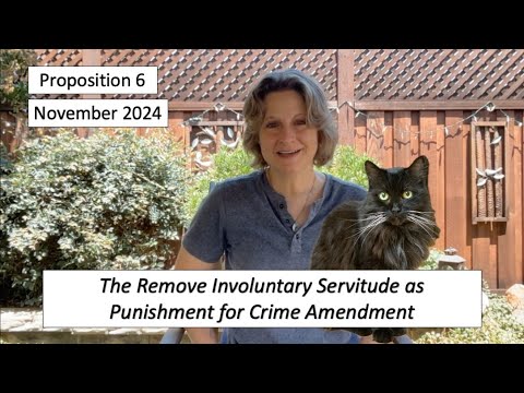 Proposition 6: The Remove Involuntary Servitude as Punishment for Crime Amendment