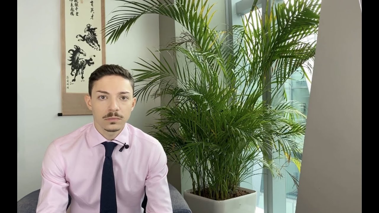 Extracting scenario archetypes - Video Abstract
