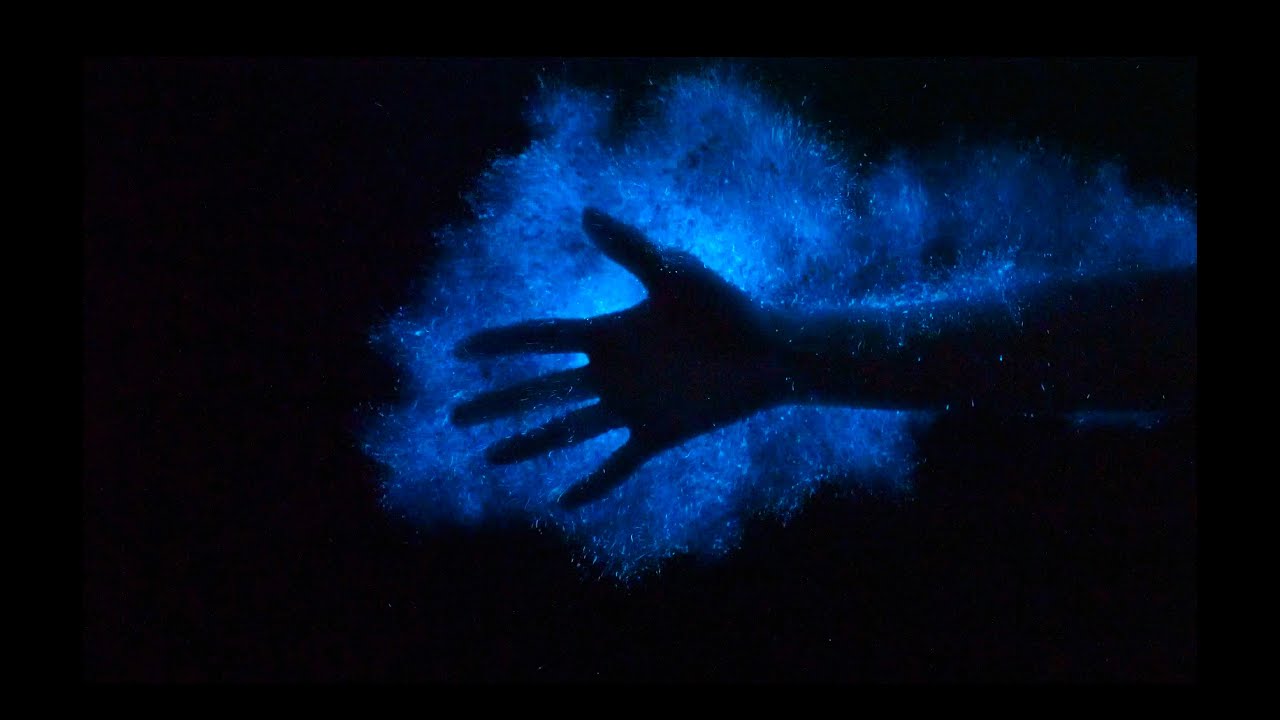 From glowing corals to vomiting shrimp, animals have used ...