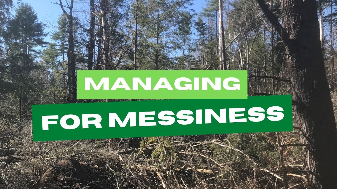 What is a Healthy Forest? Managing for Messiness