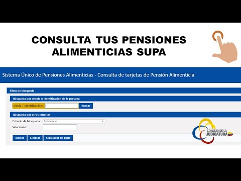 Consultas Pensiones Alimenticias