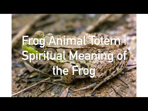 Frog Animal Totem | Spiritual Meaning of the Frog