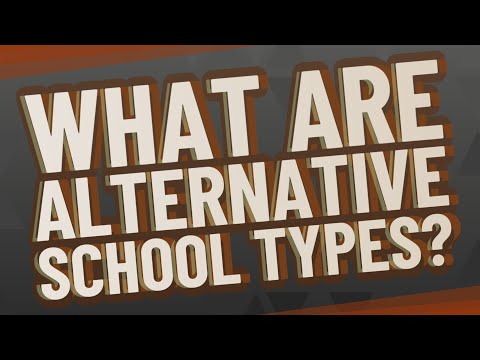 What are alternative school types?