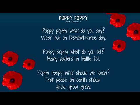 Remembrance Day poem | Poppy Poppy | short poem 🥀 #remembrancedaypoems #remembranceday2021