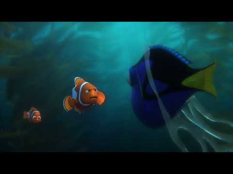 Toons Adventures of Finding Dory - Marine Life Institute/Dory gets ...