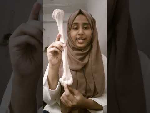 HUMERUS side determination | anatomy | Medical