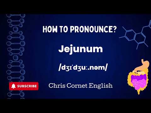 How to pronounce JEJUNUM in English