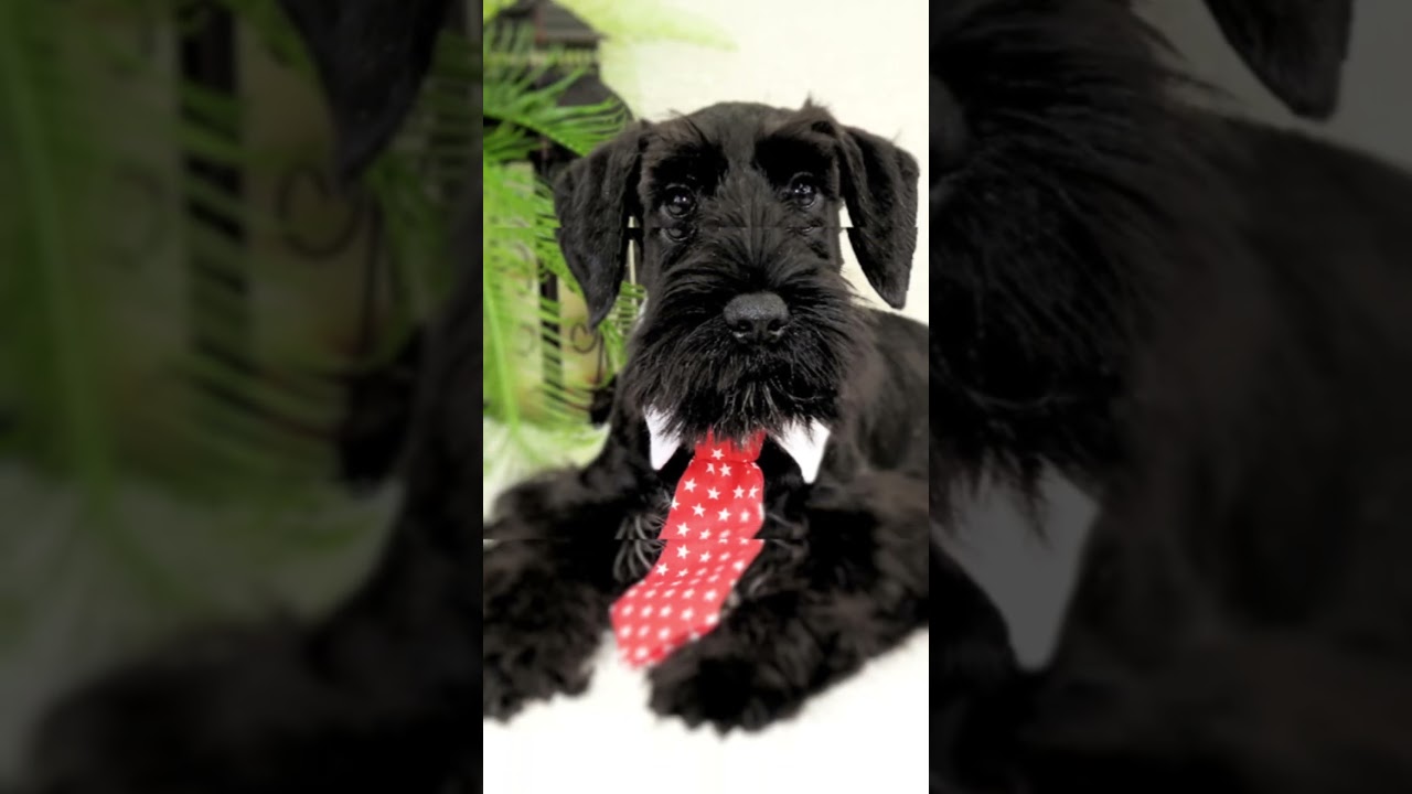 *Special*   Code:  Spring24