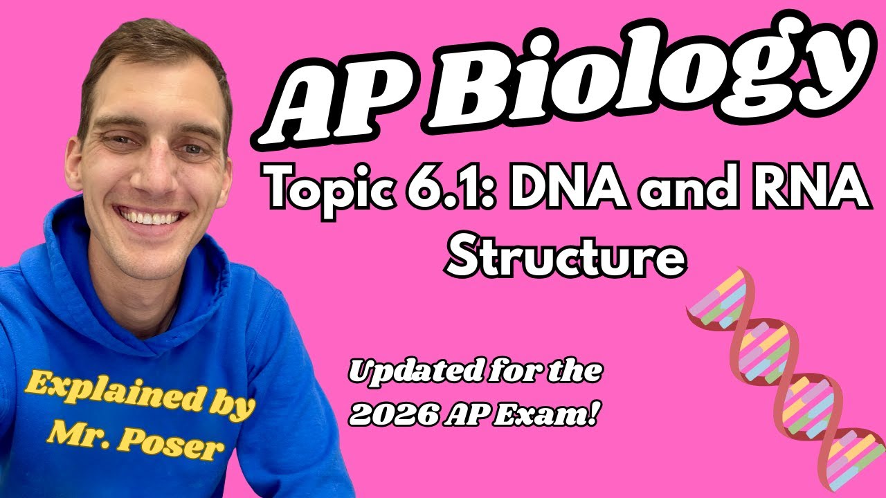6.1 DNA and RNA Structure - AP Biology (Updated 2025-2026)