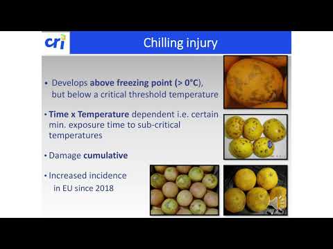 11 Paul Cronje Postharvest best practices for fruit quality