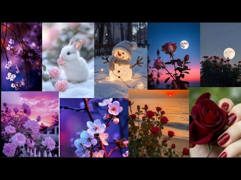 Flowers Wallpaper Collection, Beautiful Dpz And Whatsapp Profile Photos Nature G.kworld_99