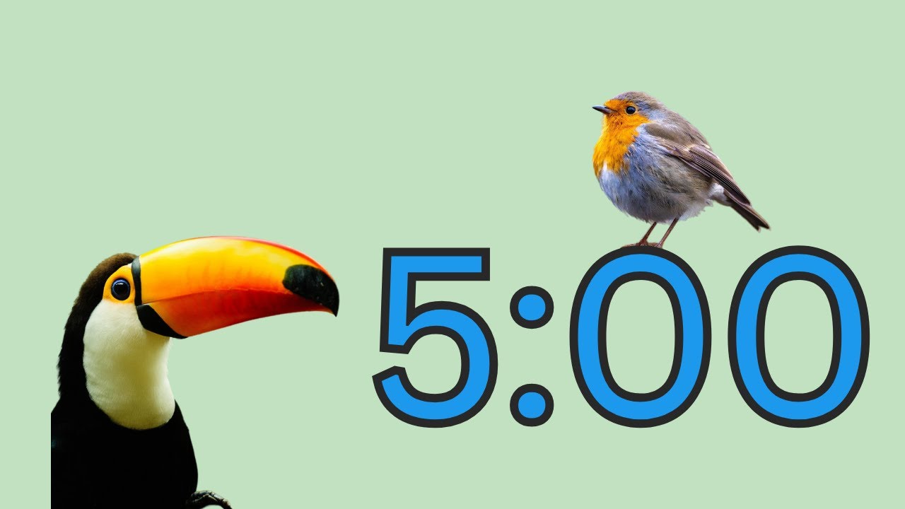 5 Minute Timer | Birds Classroom Timer