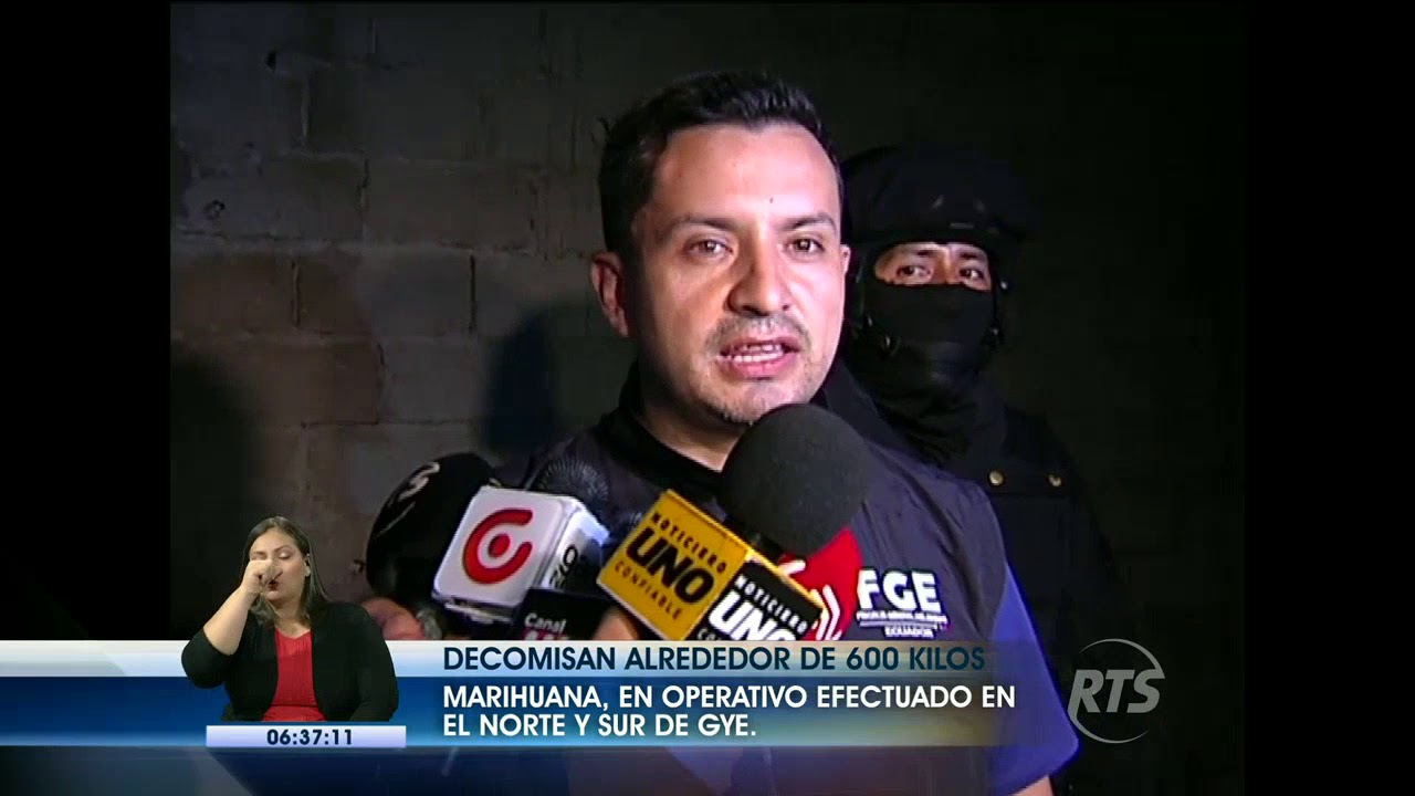 Decomisan más de 600 kilos de presunta Marihuana