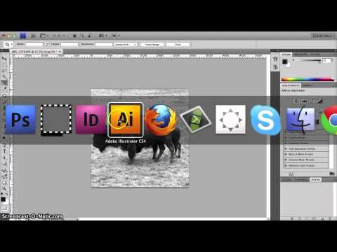 Differences between Adobe Illustrator, Photoshop and InDesign – Chasing ...