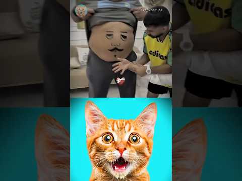 Feeling betterπ #cat #memes #funny #trending