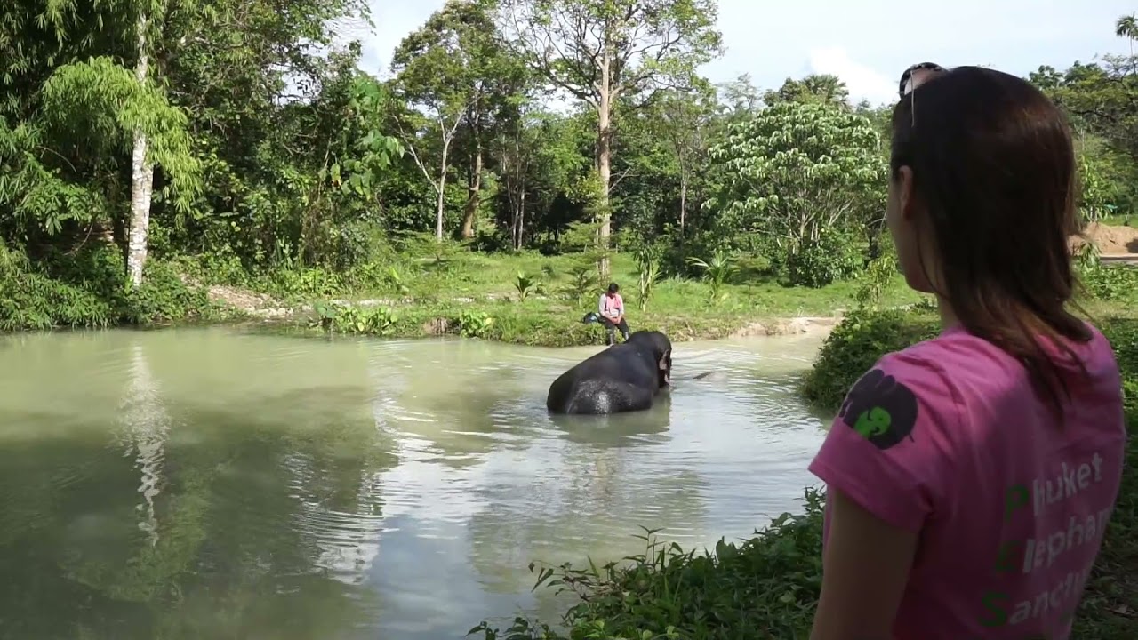 Kelly Prehn - Fashion Supporting WWF
