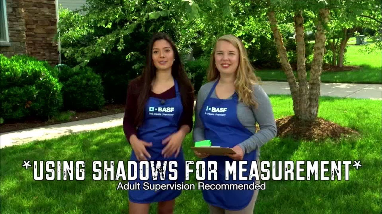 Measuring Shadow Height