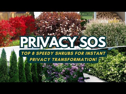 Privacy SOS: Top 8 Speedy Shrubs for Instant Privacy Transformation! π²πΊπΏ // Gardening ideas