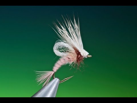 Loop wing caddis emerger