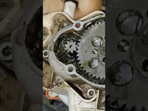 Revive Your Hedge Trimmer: Critical Repair Tips #viraltiktok #viralshort #newshort