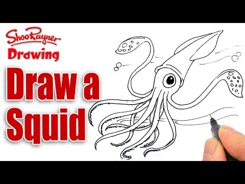 How to draw a Squid! – Shoo Rayner