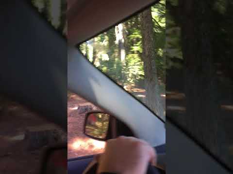 Shady Cove, OR | The Dyrt