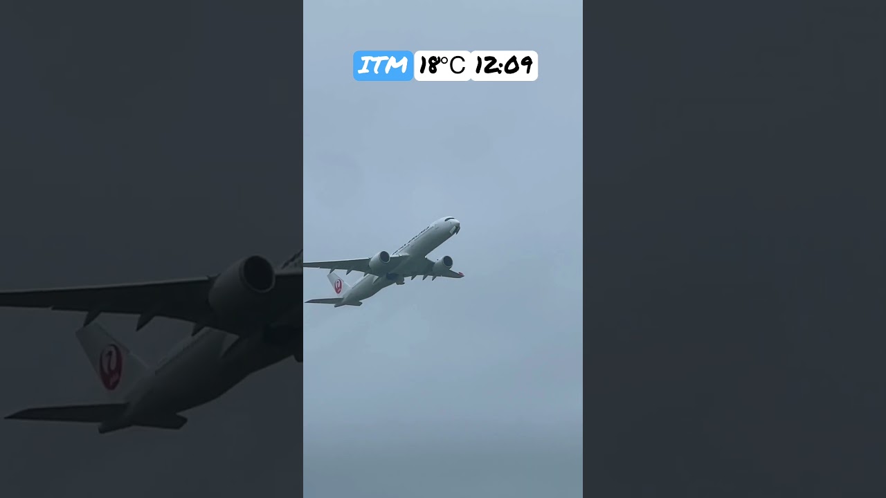 雨の中、力強く飛び立つ   JAL Airbus A350-900 Takeoff Osaka International Airport #airbusa350 #takeoff #rainyday