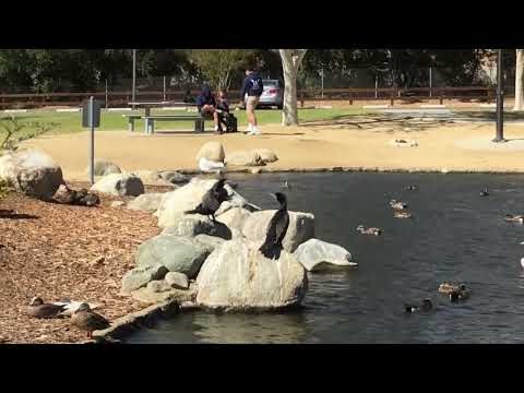 Conejo Creek Park North