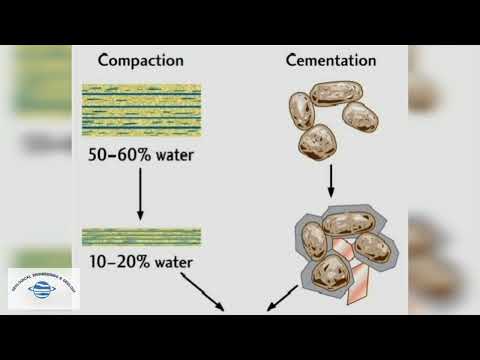 Compaction and Cementation