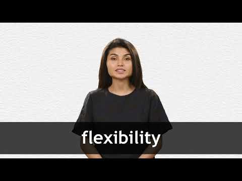 FLEXIBILITY 释义 | 柯林斯英语词典
