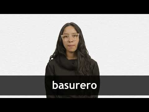 English Translation of “BASURERO” | Collins Spanish-English Dictionary