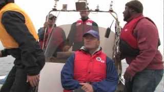 Working At Amsea Corp.: Company Overview and Culture - Zippia