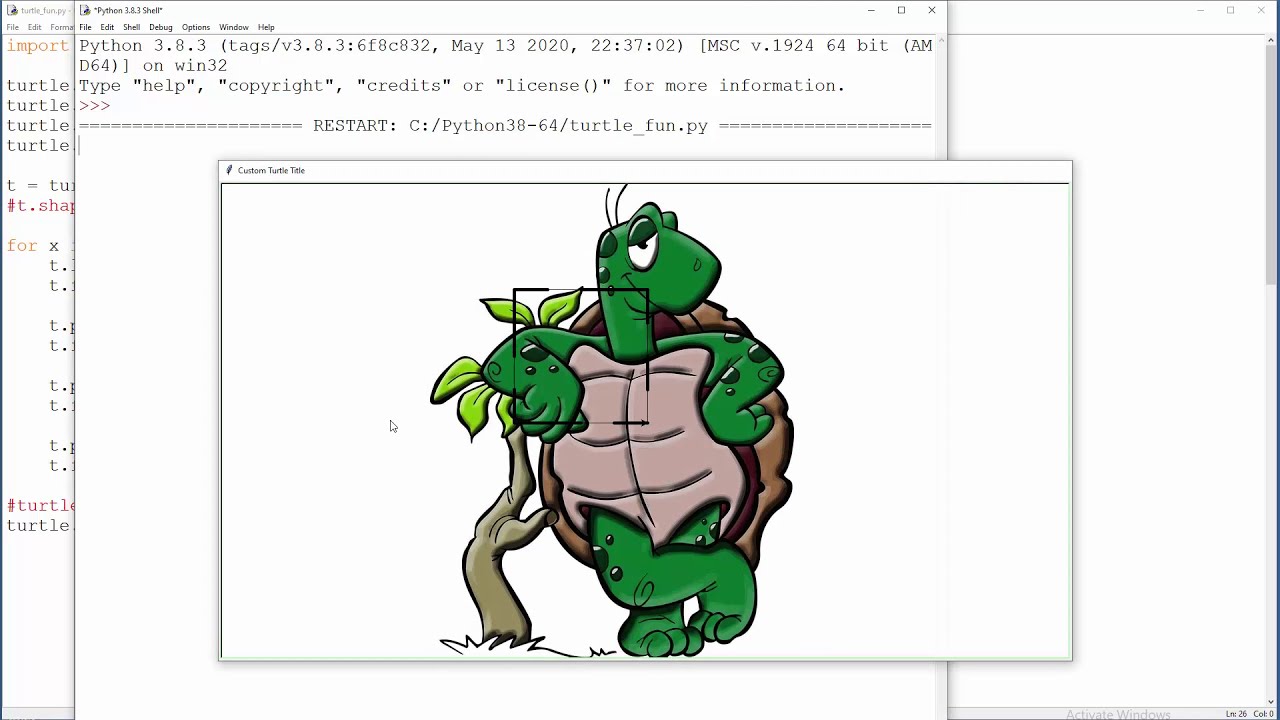 Python Turtle - 5 - Window Size, Background Image, Clear Screen