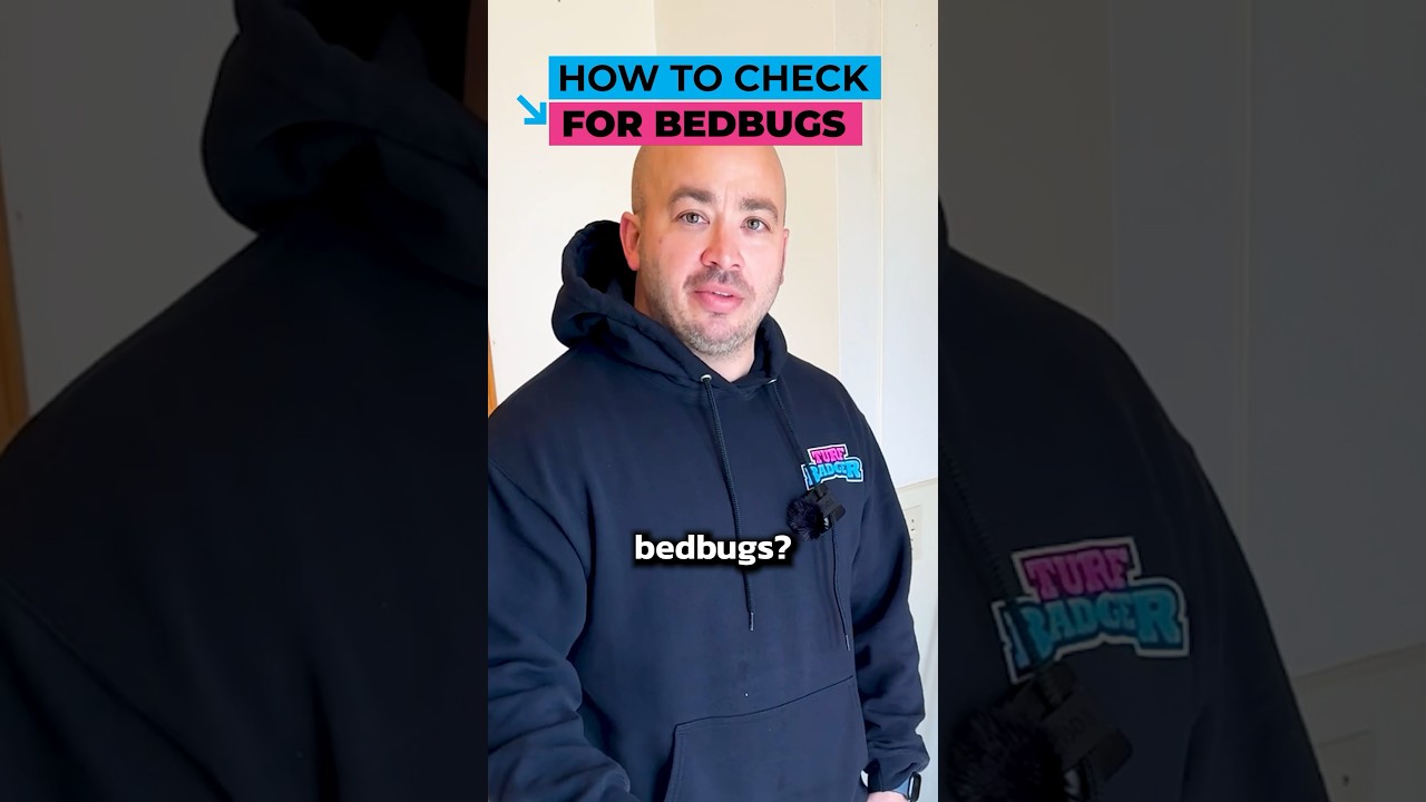 How To Check For BED BUGS 🪳
