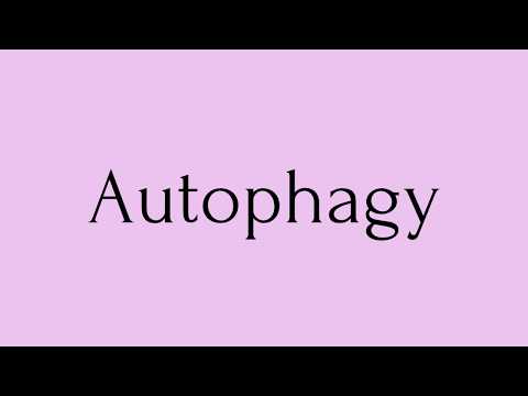 Autophagy Meaning - English Word of the Day