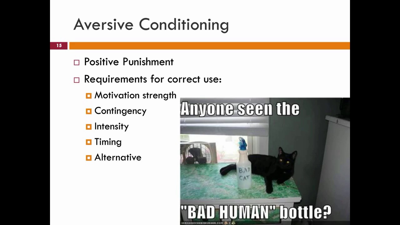 Behavior Modification for Cats: 7. Aversive Conditioning - class