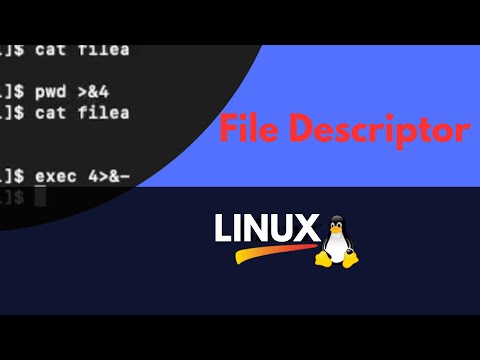 Linux File Descriptors