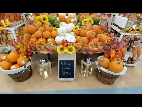 🎃 Pumpkin Paradise at Choice Stores 🎃
