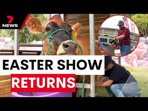 Sydney Royal Easter Show returns for 2025 | 7NEWS
