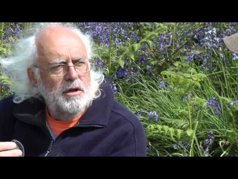 Mick Aston dead: Watch Time Team's academic videos and soak up wisdom ...
