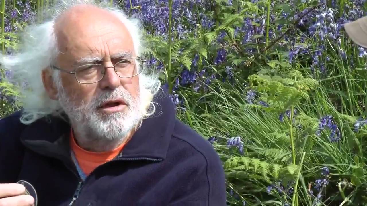 Mick Aston dead: Watch Time Team's academic videos and soak up wisdom ...