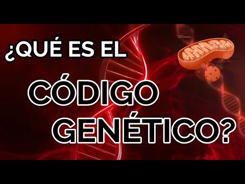 ¿Qué es el código genético? ¿Y el ADN?