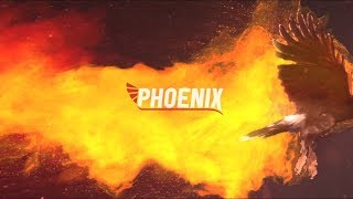 Phoenix Media Group Reviews and Clients | DesignRush