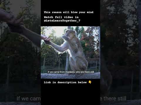 How can humans walk on 2 legs | Human Evolution #animals #science #biology #evolution #nature