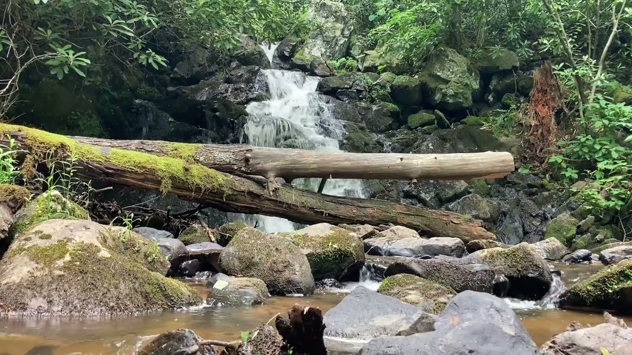 Country stars light up on Jan. 9