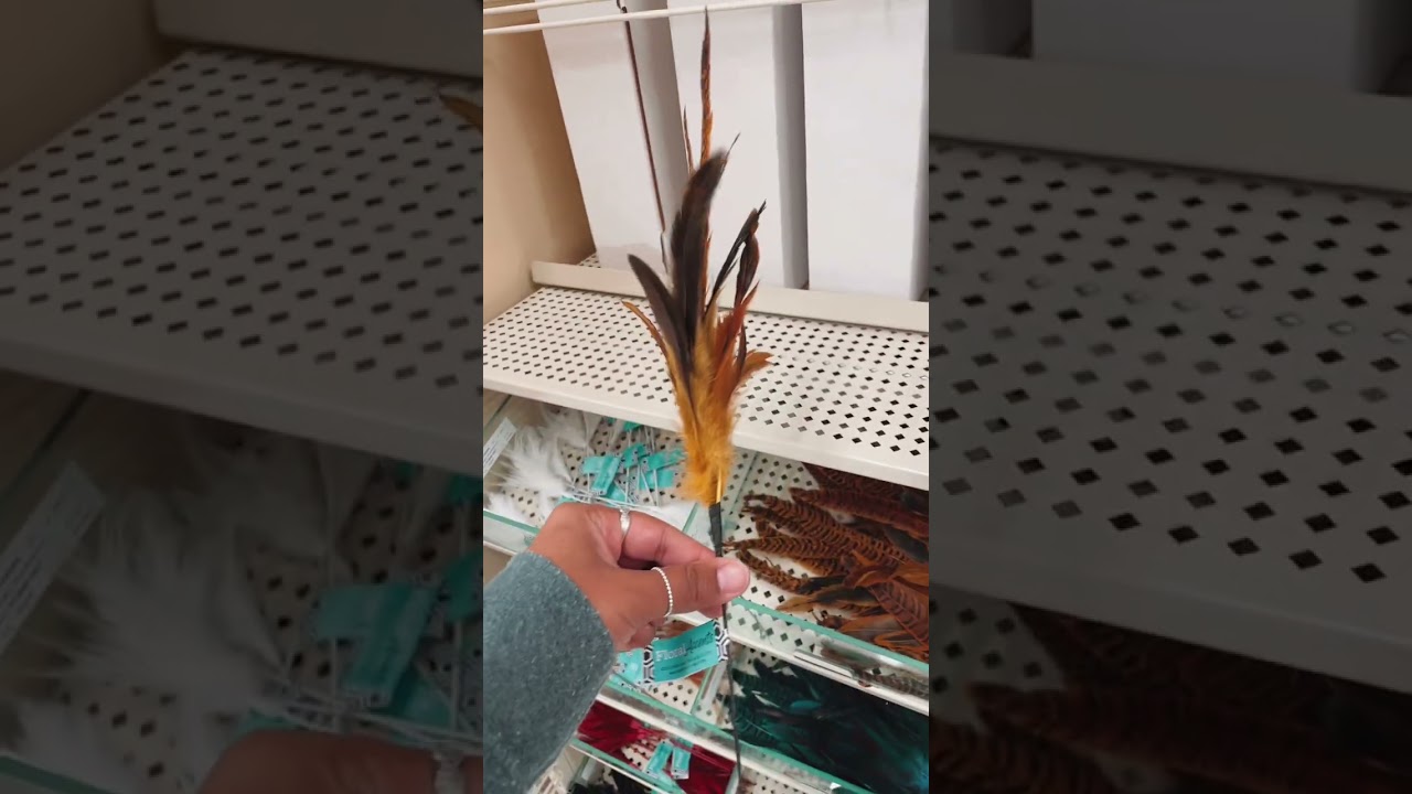 Taking flight with creativity